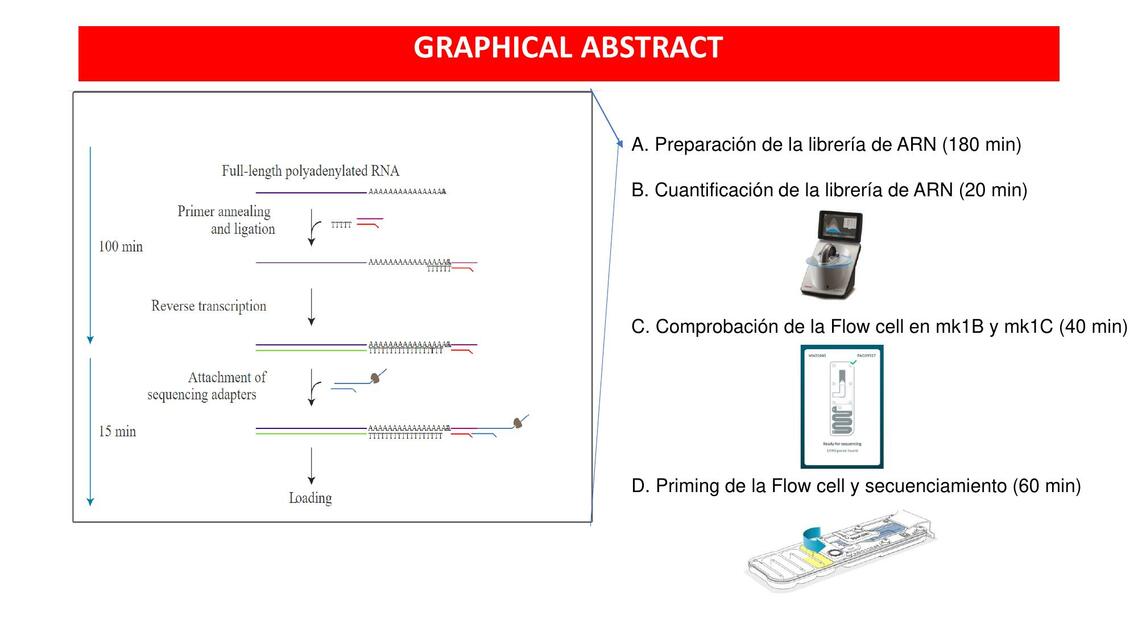 Resúmenes de graphical abstract | Descarga apuntes de graphical abstract