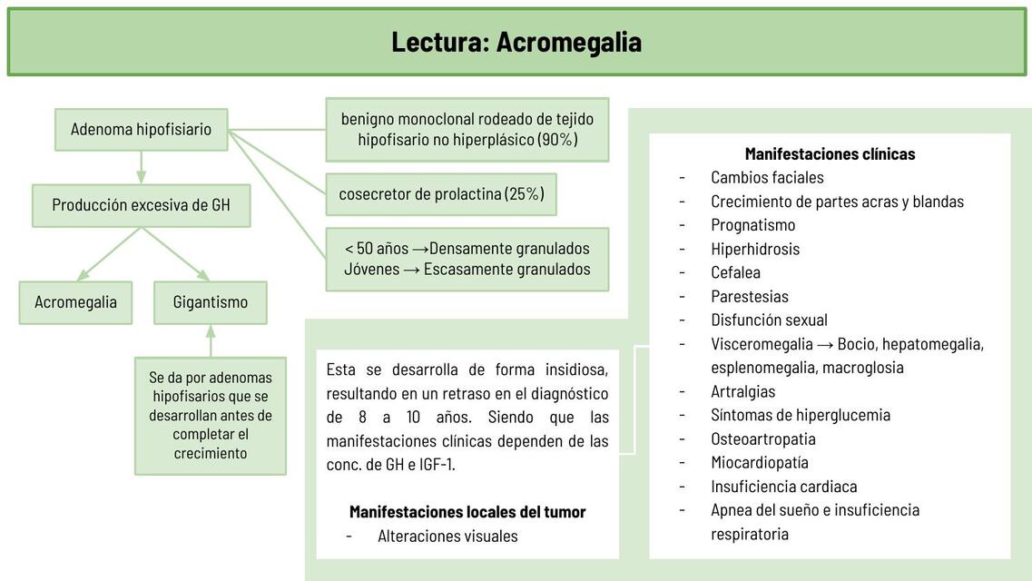 Acromegalia | Nieves Cadenas | uDocz