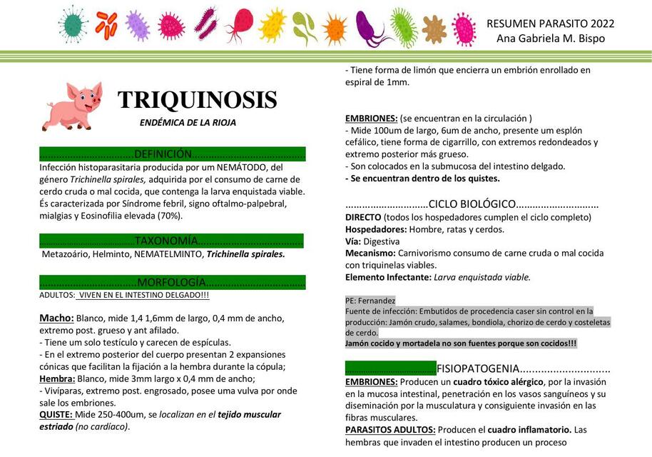 TRIQUINOSIS | Ana Gabriela de Moraes Bispo | uDocz