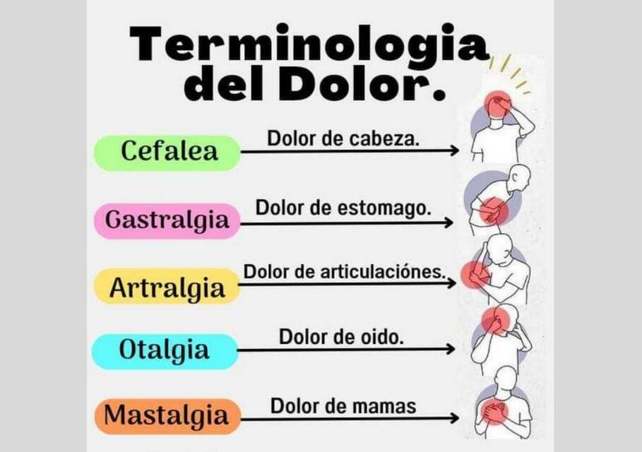 Terminología del dolor | fraii | uDocz