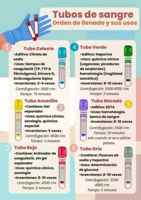 Llenado de tubos de sangre | fraii | uDocz