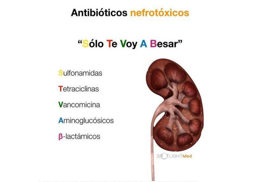 Antibióticos nefrotóxicos