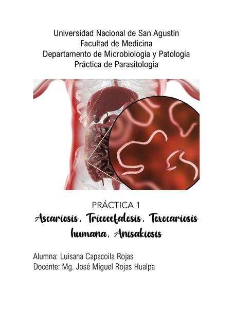 Práctica 1 Ascariosis Tricocefalosis Toxocariasis | Luisana Aneth CR | uDocz