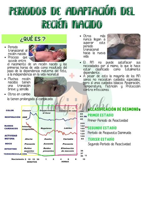 Periodos de Adaptación del Recién Nacido | Antonella Rivadeneyra Ramirez | uDocz