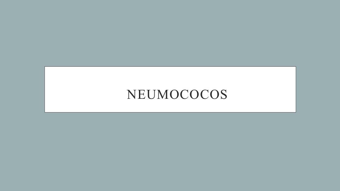 Neumococos | . | uDocz