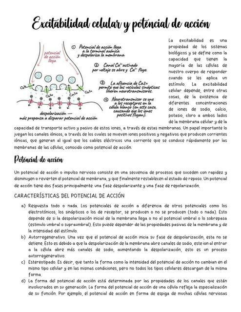 Excitabilidad celular y potencial de acción | Ana OC | uDocz