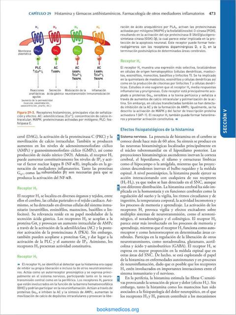 Histamina y Fármacos Antihistamínicos | Aarón Salcedo | uDocz