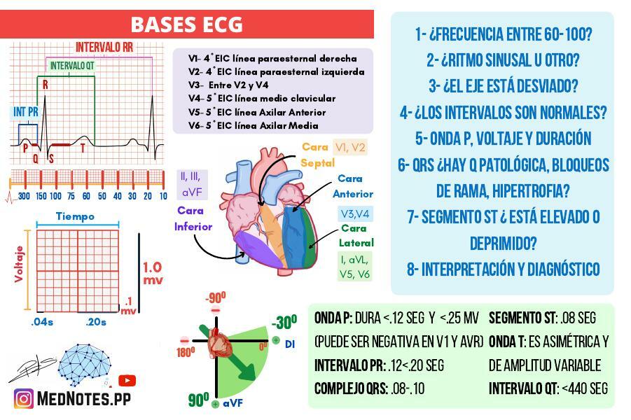 Bases ECG | FJ | uDocz