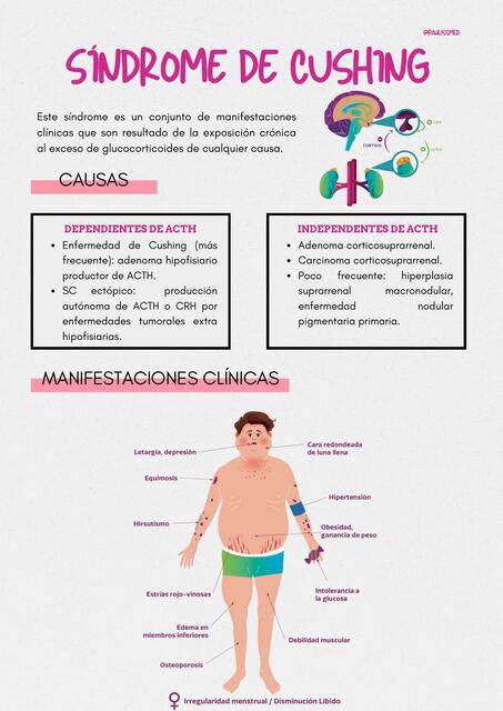 Síndrome de Cushing | PaulissMed | uDocz