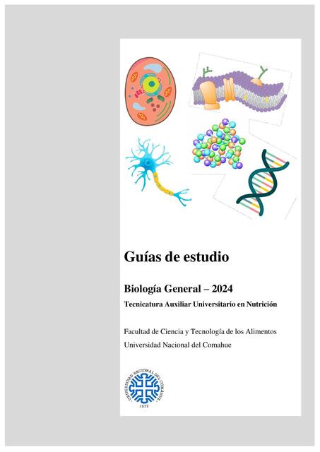 Guías de estudio | Franco Vallejos | uDocz