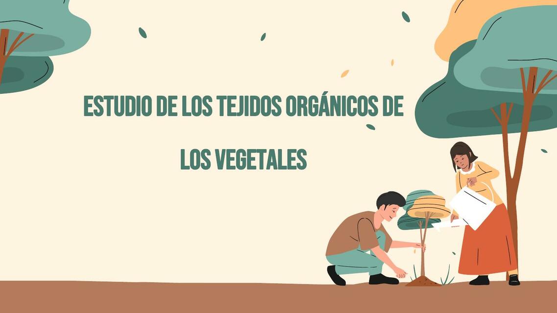 Estudio de los tejidos orgánicos de los vegetales | Paola | uDocz
