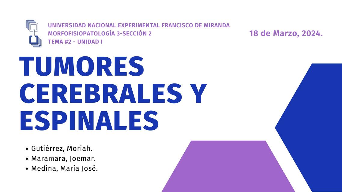 Tumores Cerebrales y Espinales Grupo 2 | Luis | uDocz