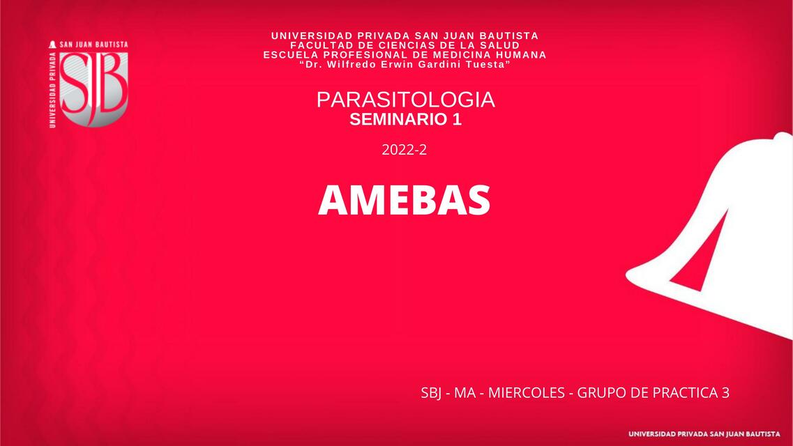 Amebas parasitología | Chio | uDocz
