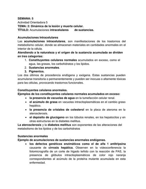 Acumulaciones intracelulares de sustancias┃AO5┃Morfopato 1 | Ysaac ...