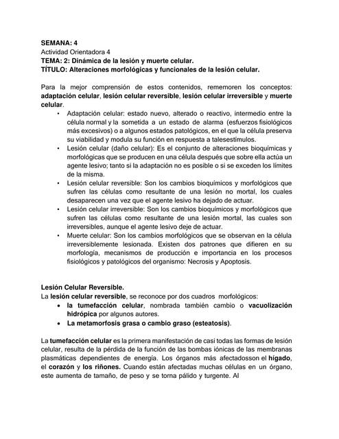 Alteraciones morfológicas y funcionales de la lesión celular┃AO4┃Morfopato 1 | Ysaac Garcia | uDocz