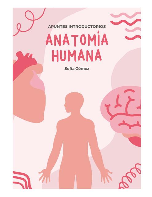 Anatomía Humana Apuntes introductorios | Sofía Gómez | uDocz
