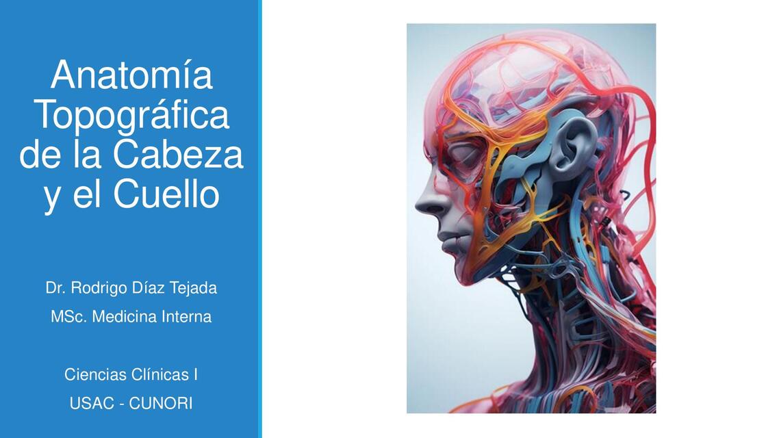 Anatomía Topográfica de la Cabeza y el Cuello | Diego Pinto | uDocz