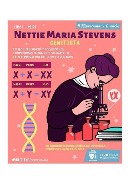 Nettie María Stevens | Tatiana Aracely La Serna Guerrero | uDocz