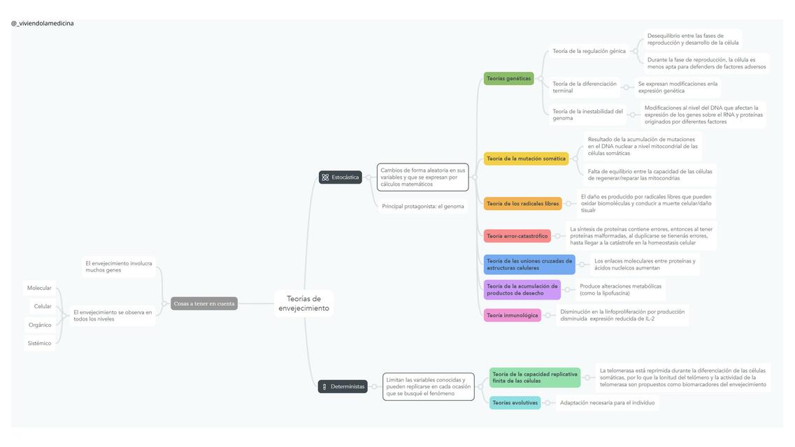 Teorías del envejecimiento | Viviendo la medicina | uDocz