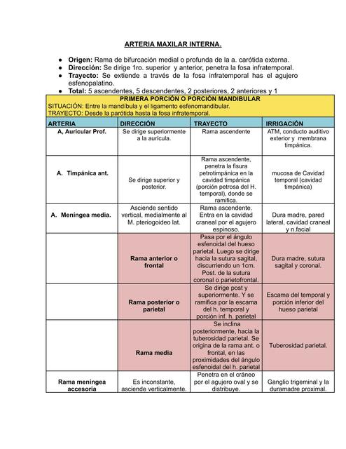 Arteria maxilar interna | Jazmín Estrada | uDocz