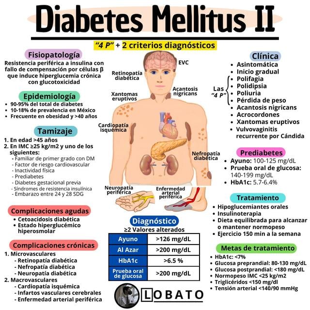 Flashcards de Diabetes mellitus tipo 2 🩺| Hipoglucemiantes 💊 Insulina ...