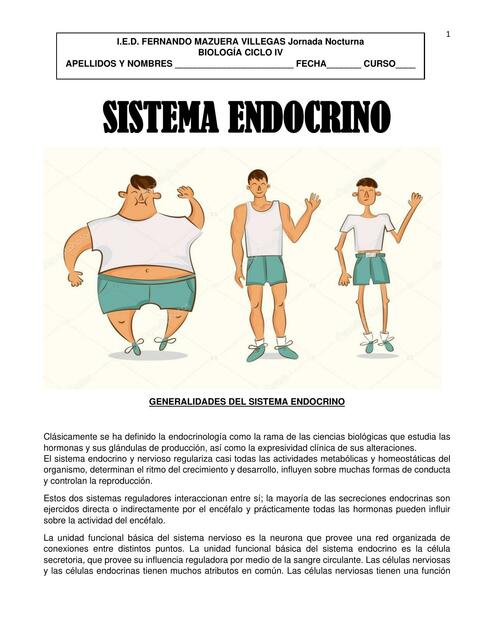 Sistema endocrino | Victor Yepez | uDocz