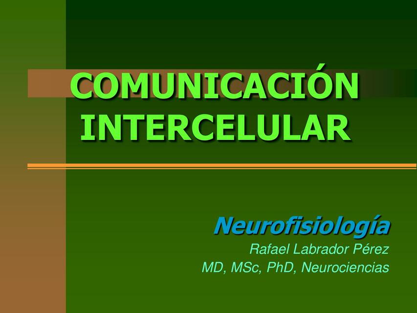 Flashcards de Tema 5 Comunicación Intercelular | Por Carlos Daniel ...
