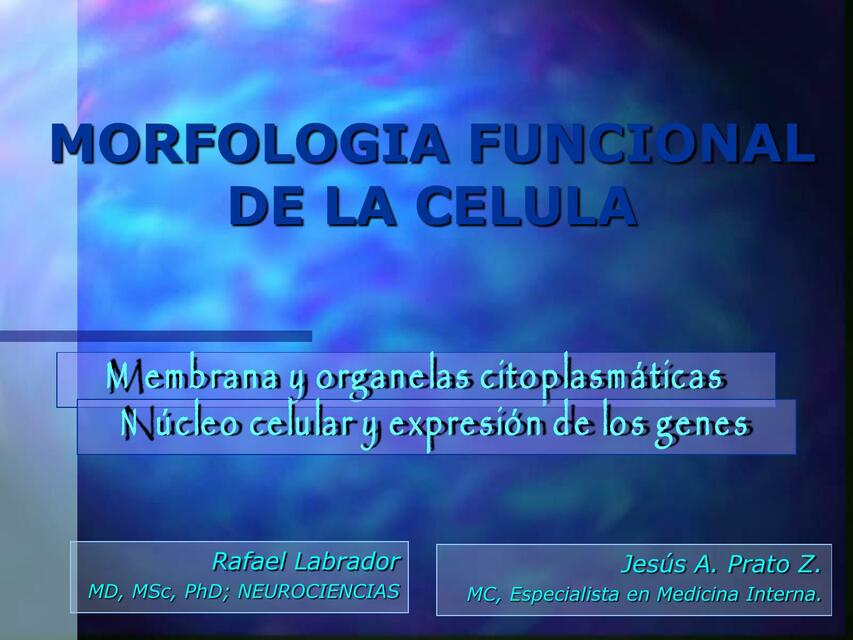 Tema 1 Morfología Funcional de la Célula | Carlos Daniel Cárdenas Santos | uDocz