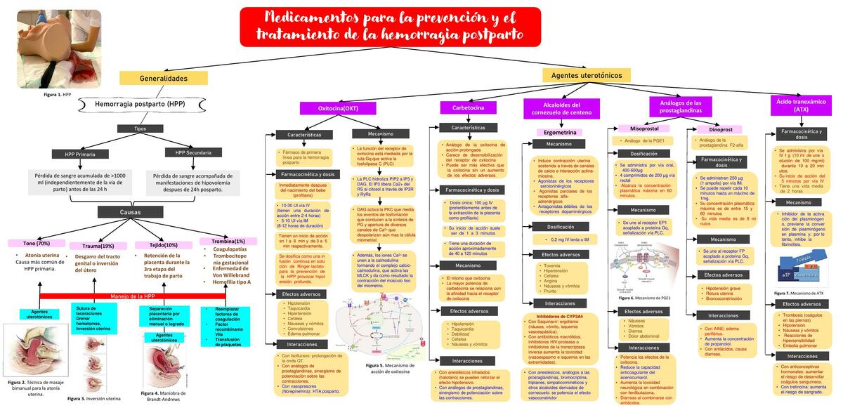 Medicamentos para prevenir y tratar la hemorragia postparto | GERALDINE ...