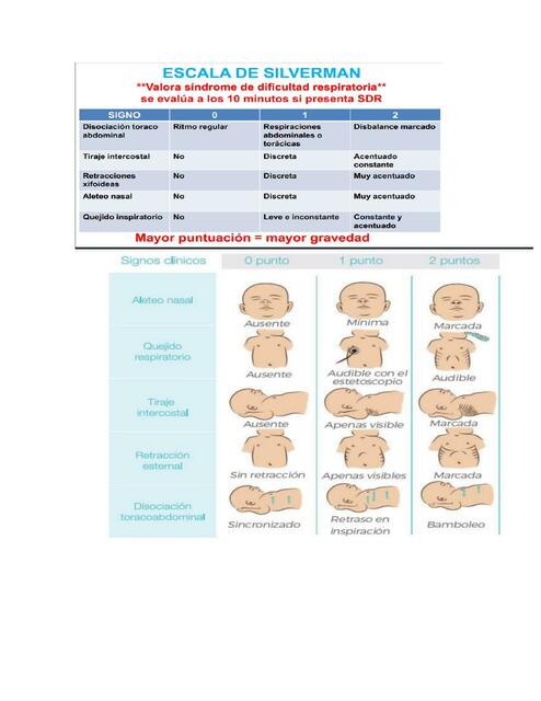 Escala de Silverman | Silvana | uDocz
