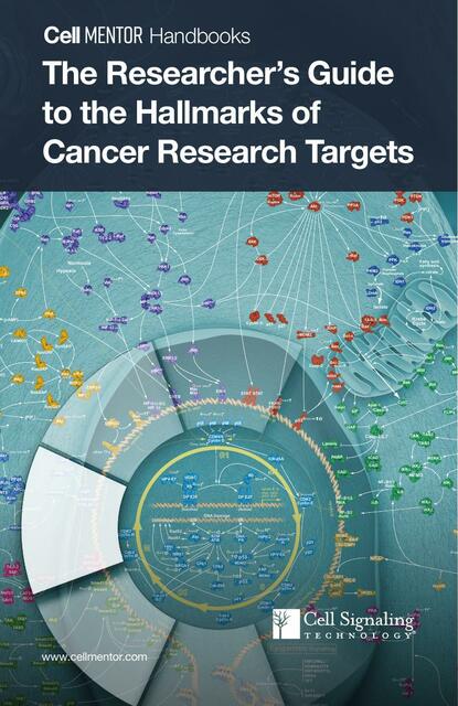 The researcher's guide to the hallmarks of cancer research targets ...
