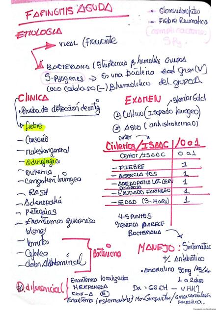 Faringitis Aguda - pediatría | Lupita | uDocz