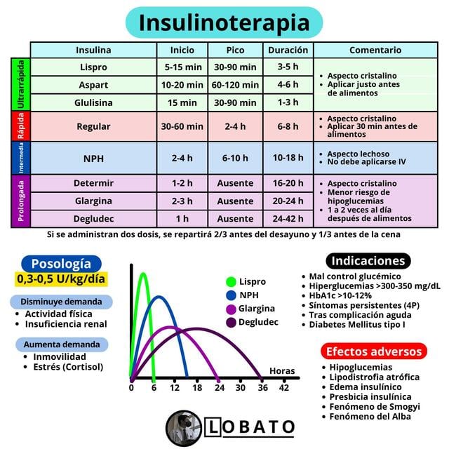 Insulina 💉| Insulinoterapia Diabetes | Clasificación, Indicaciones ...