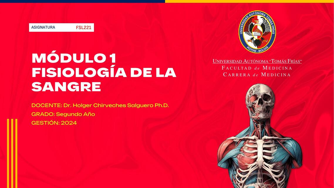 Fisiología de la Sangre | Amy | uDocz