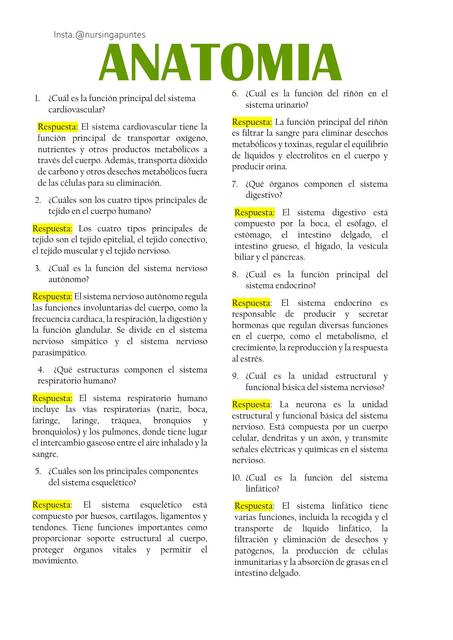 Anatomía Nursing Apuntes Udocz