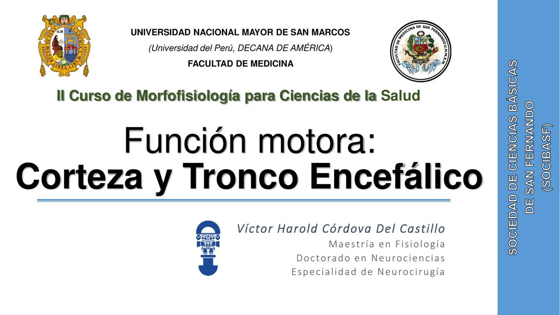Función motora Corteza y Tronco Encefálico | Un poco de cursos | uDocz