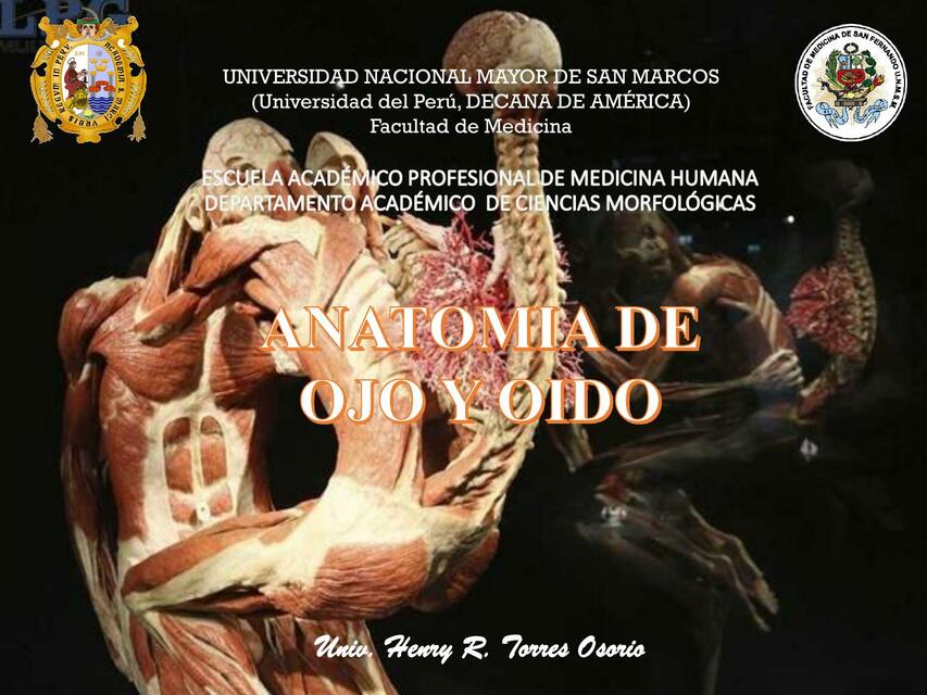 ANATOMÍA DE OJO Y OIDO | Un poco de cursos | uDocz