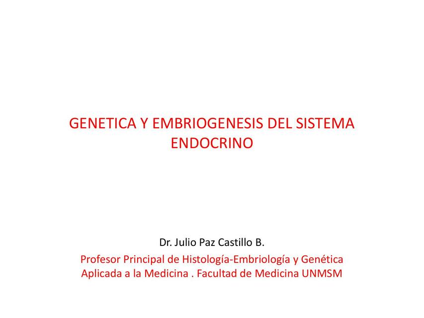 Sistema Endocrino | Un poco de cursos | uDocz
