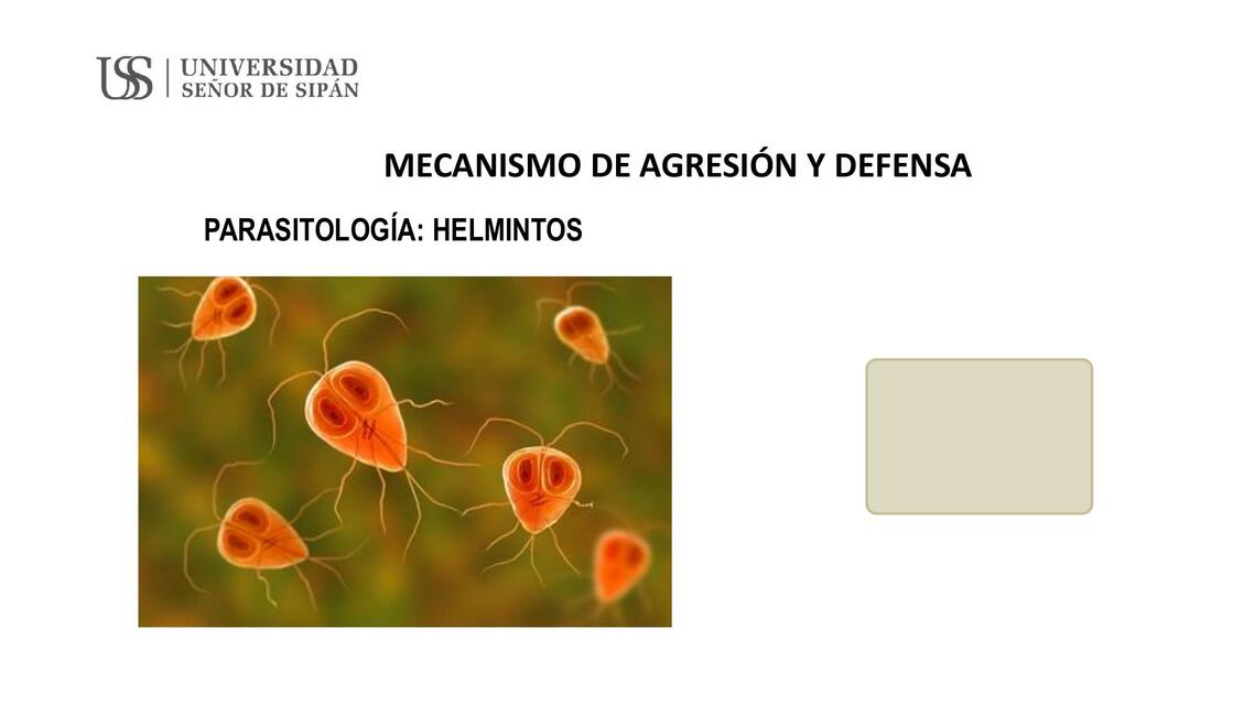 Helmintos Sandra Elizabeth Ballena Custodio Udocz 4483