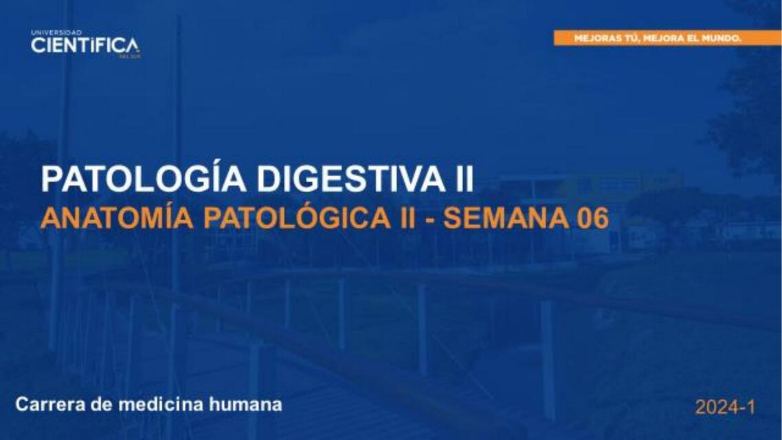 PPT ANATOMIA PATOLOGICA II SEM 06 SESIÓN 06 1 | Estefany Vilchez Navarro | uDocz