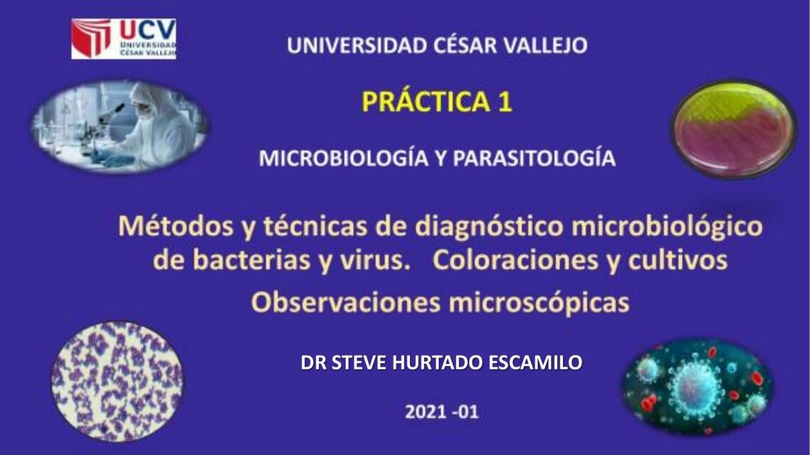 Metodos y tecnicas de diagnostico microbiologico de bacterias y virus ...