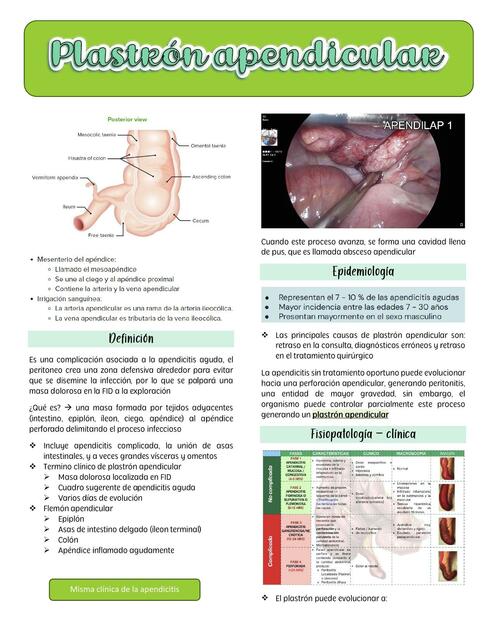Plastrón apendicular | Camila Dominguez | uDocz