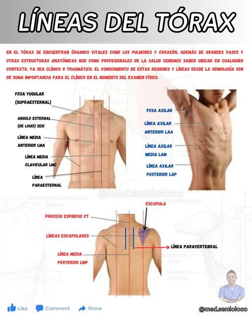 LÍNEAS DEL TÓRAX | Víctor Rodriguez Botero - @med.semioloco | uDocz