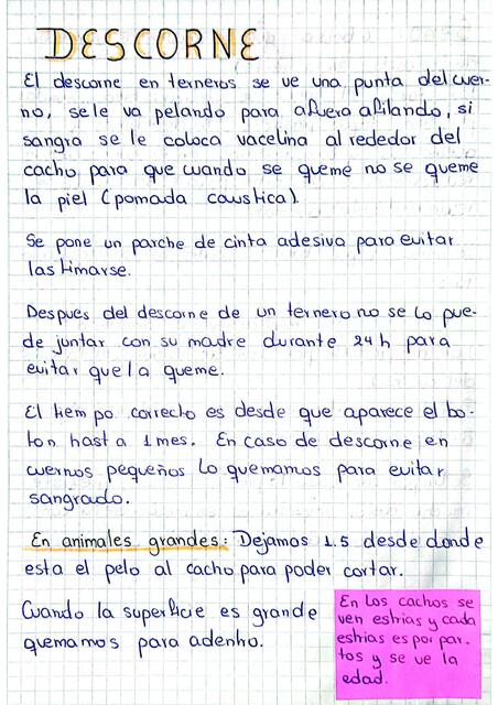 descorne | Gabby | uDocz