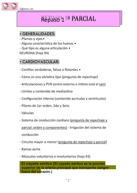 Anato 1er parcial | Rocio | uDocz