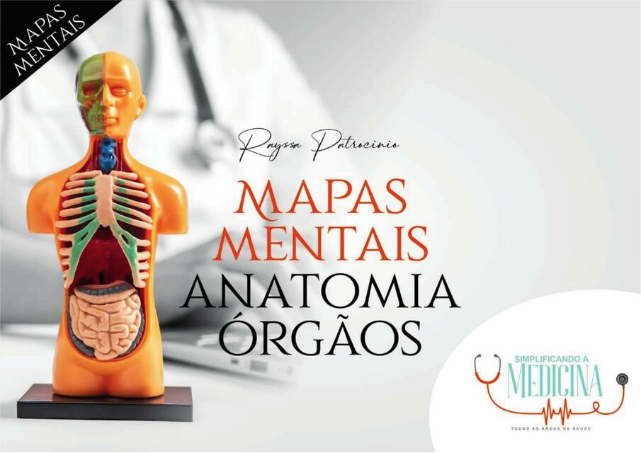 MAPAS ORGAOS ESPANHOL V2 0 | Jazz Ok | uDocz