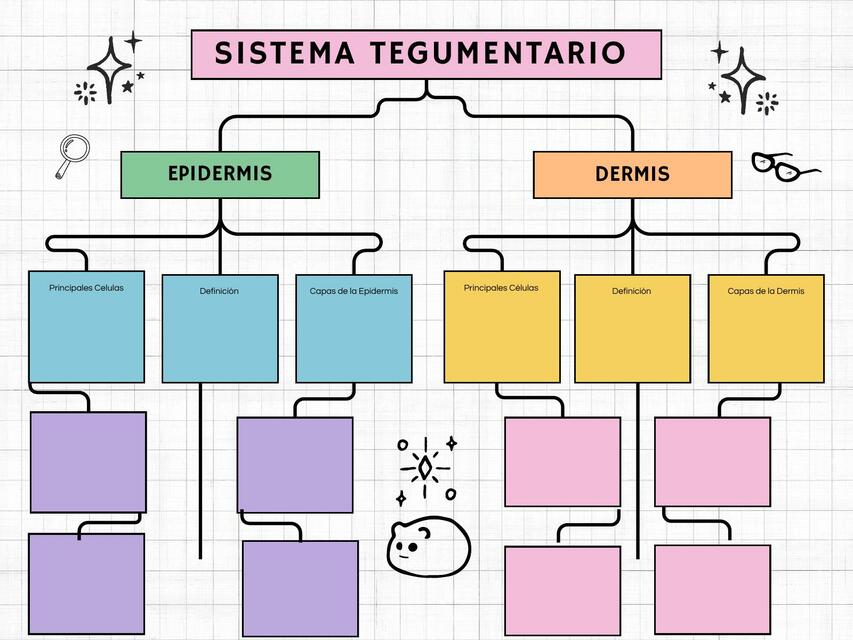 Gráfica Mapa Conceptual Simple Colorido | jose guadalupe moreno cuesta ...
