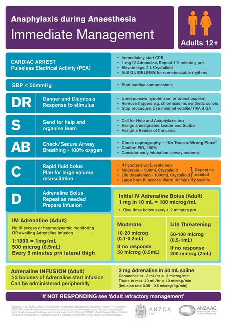 1 Anaphylaxis Card 1 Adult Immediate Management | José Fabricio Montaño ...