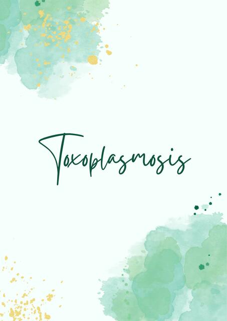 TOXOPLASMOSIS | Luisana Aneth CR | uDocz