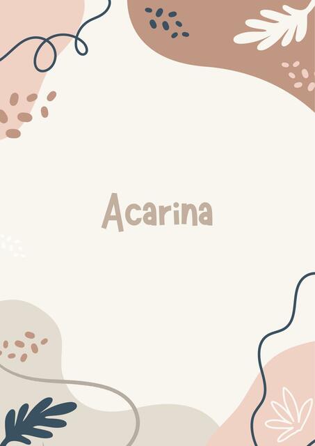 ACARINA | Luisana Aneth CR | uDocz
